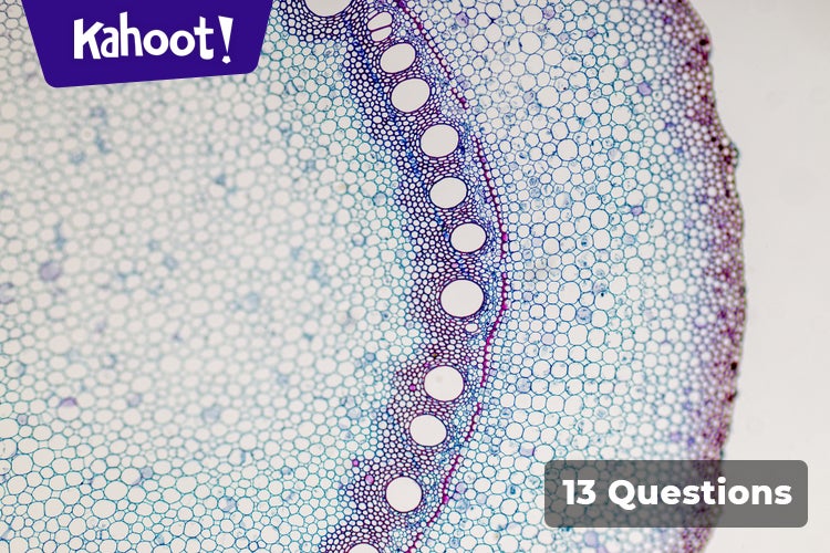 McGraw Hill: Intro to Plants (Ch 8) - Kahoot! Quiz