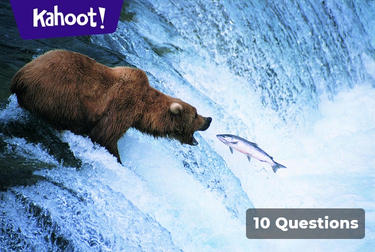 Interactions in Ecosystems - Kahoot! Quiz