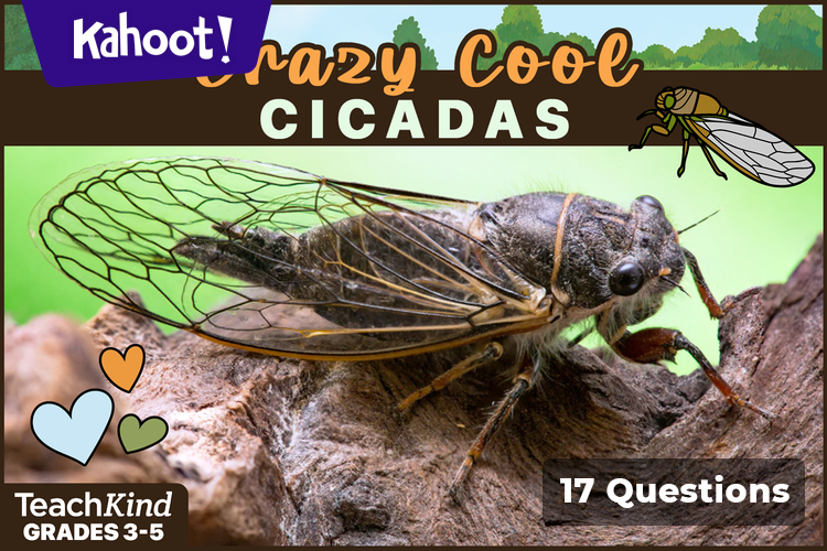 Crazy Cool Cicadas - Kahoot! Quiz