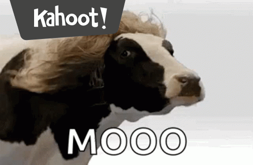 Viaje de su Vida Ch 1 - Kahoot! Quiz