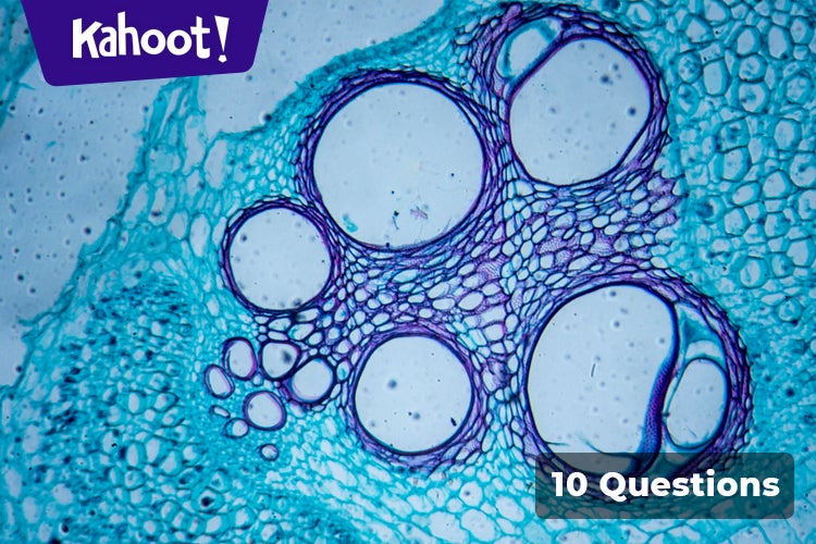 Year 7: Cells (Part 2) - Kahoot! Quiz