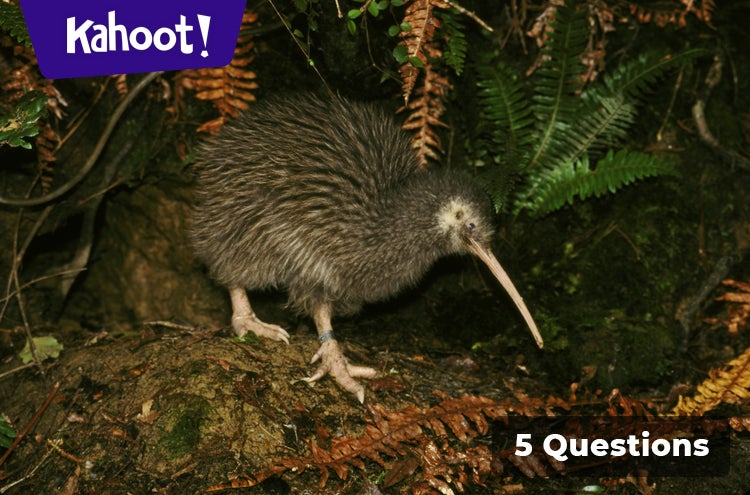 New Zealand native birds - Kahoot! Quiz