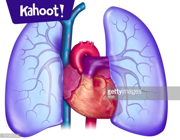 Circulatory & Respiratory System - Kahoot! Quiz