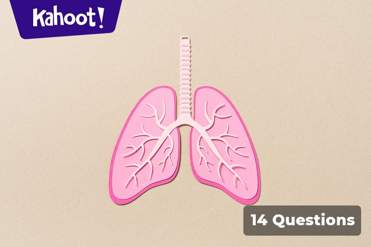 VN03 Respiratory system - Kahoot! Quiz