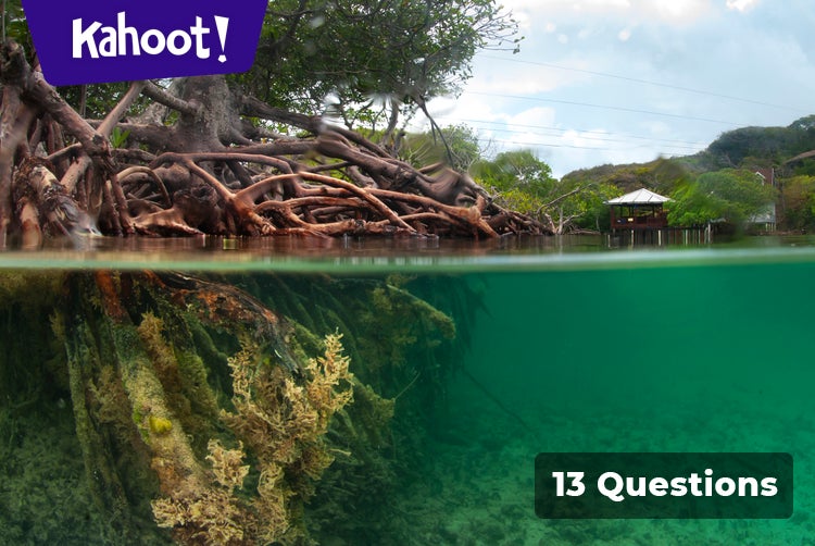 Ecology: Mangrove Ecosystem - Kahoot! Quiz