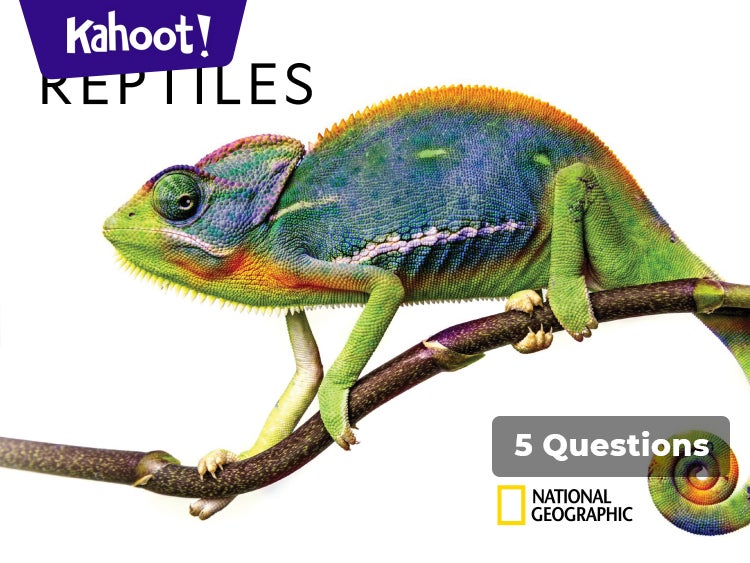 Reptiles - Kahoot! Quiz