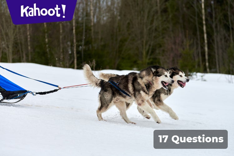 Dog Breed Quiz 3 - Kahoot! Quiz