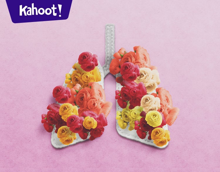 A&P- Respiratory system - Kahoot! Quiz