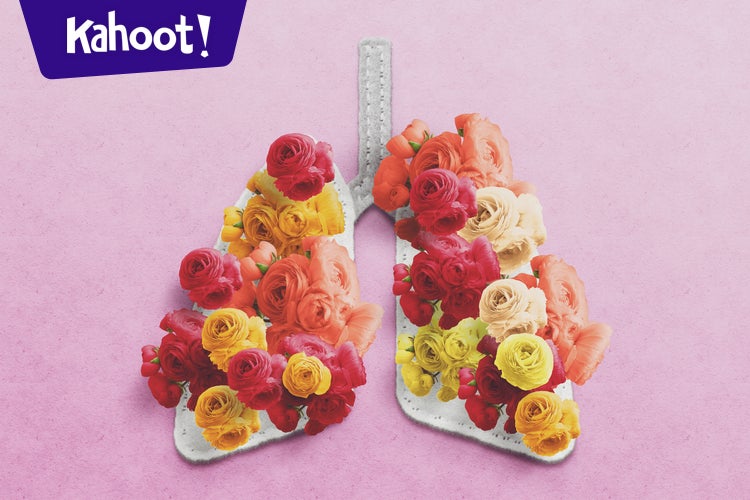 A&P- Respiratory system - Kahoot! Quiz