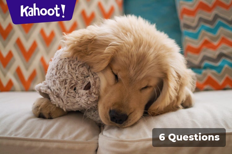 5 facts of dogs - Kahoot! Quiz
