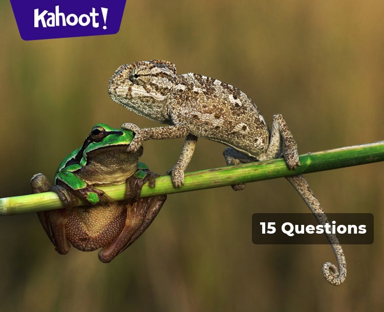 BBC LIFE: REPTILES & AMPHIBIANS 1 - Kahoot! Quiz