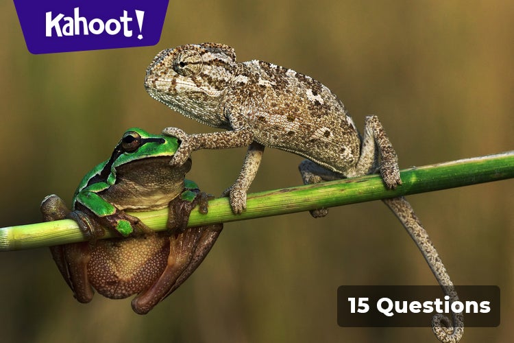 BBC LIFE: REPTILES & AMPHIBIANS 1 - Kahoot! Quiz