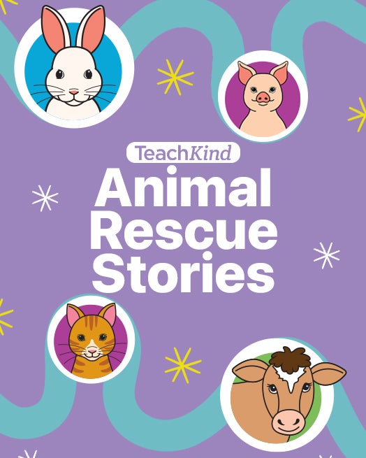 TeachKind Rescue Stories - Kahoot! Course