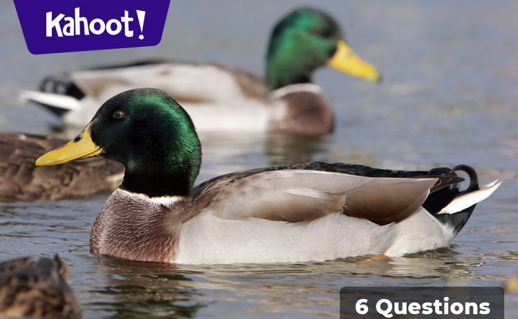 Articles _ AZAR Blue Ch 7 - Kahoot! Quiz