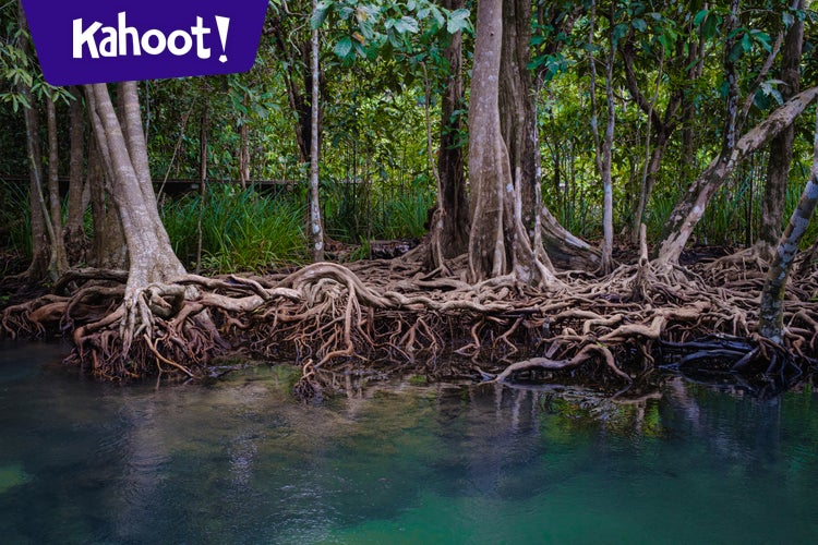 Greek & Latin Roots: gres, rupt, tract - Kahoot! Quiz