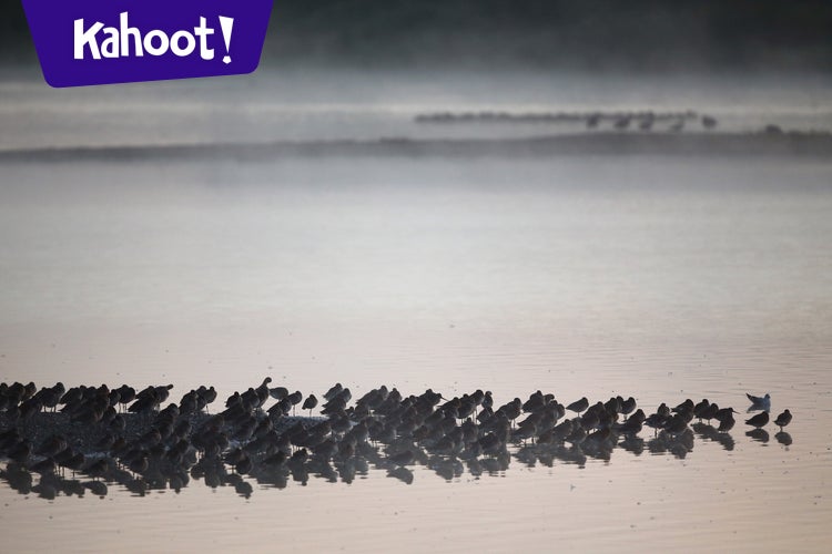 Biomes - Kahoot! Quiz