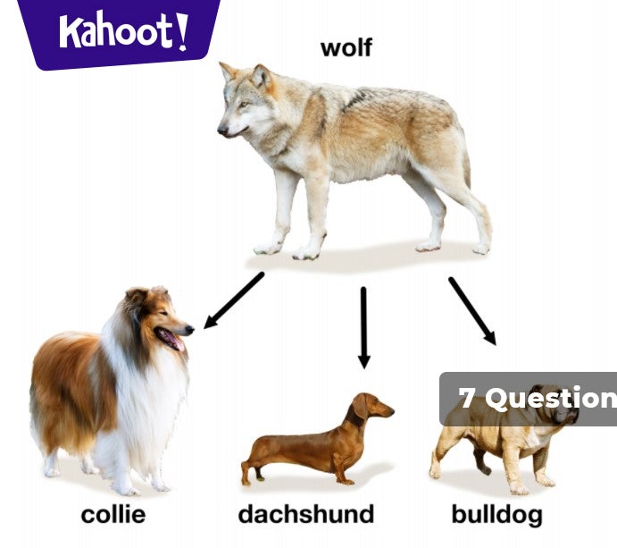 7th Grade Unit 7 Lesson 1 Science Vocabulary Words - Kahoot! Quiz