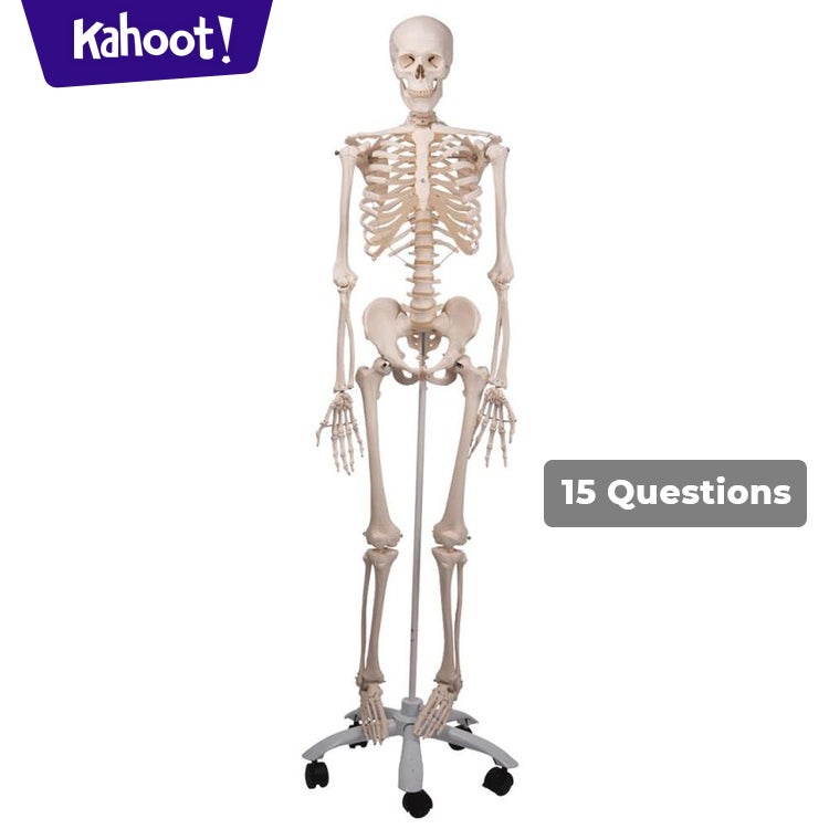 Skeleton Quiz - Kahoot! Quiz