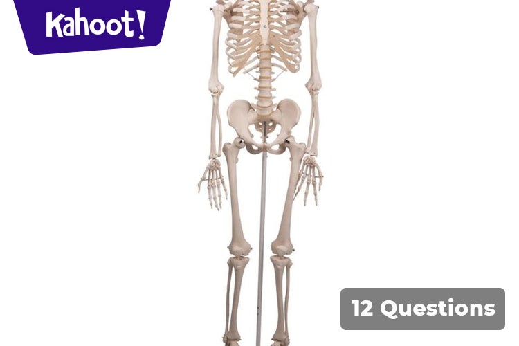 K-5 Skeleton Quiz - Kahoot! Quiz