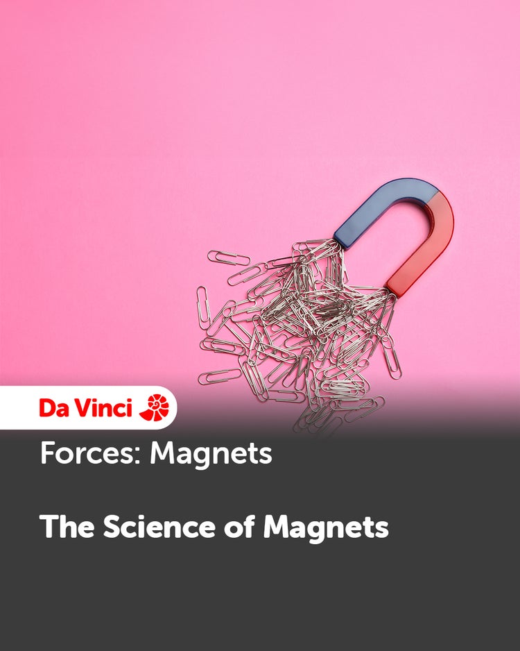 Forces: Magnets - Kahoot! Course