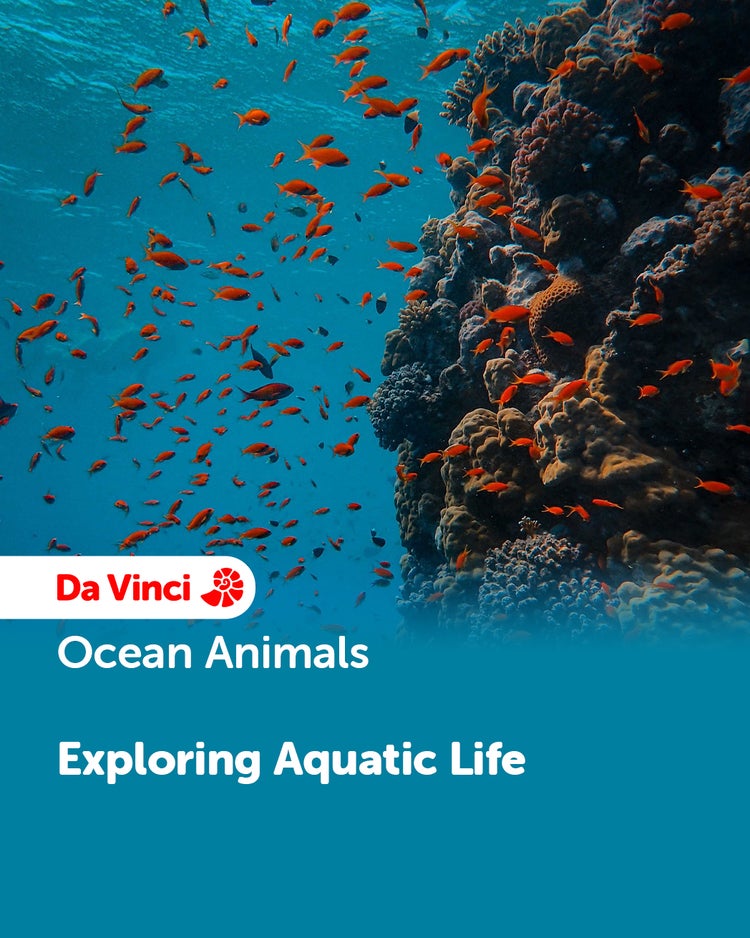 Ocean Animals - Kahoot! Course