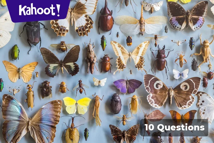 Insects! - Kahoot! Quiz