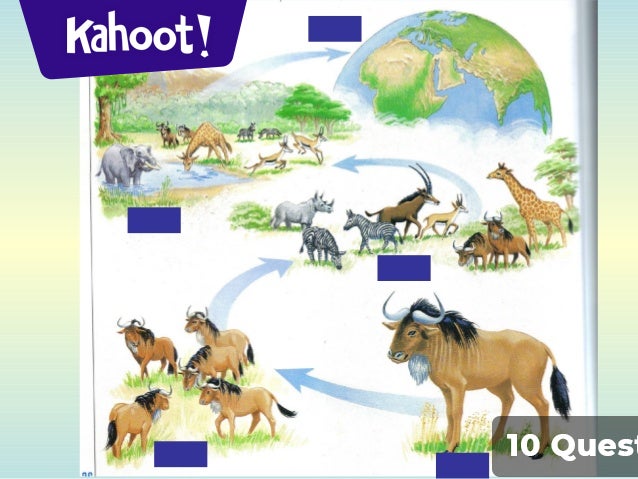 Levels of Organization in Ecology - Kahoot! Quiz