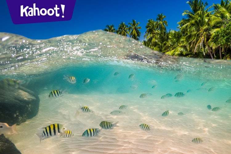 3rd Gr - Ecosystem Unit 1 Study Guide - Kahoot! Quiz