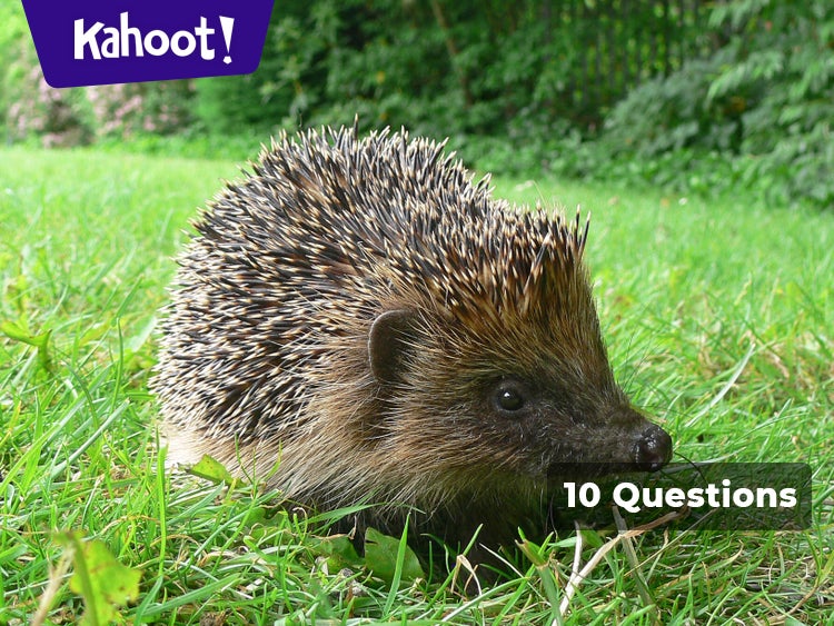 Animal habitats and fun facts - Kahoot! Quiz