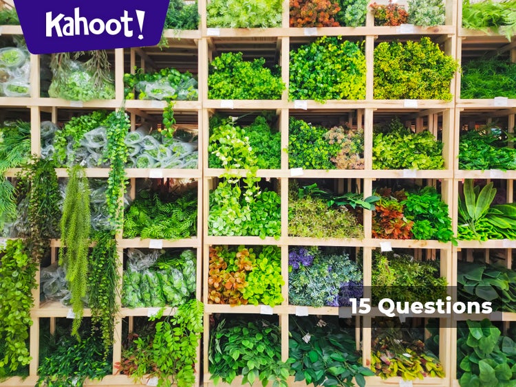 Growing Home Book club - Kahoot! Quiz