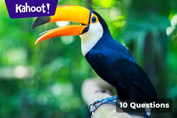 Amazingly Colourful Animals around the World! - Kahoot! Quiz