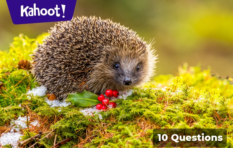 Winter migration and hibernation - Kahoot! Quiz