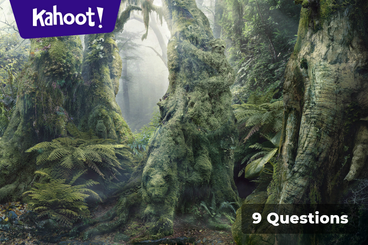 Hidden animals - Kahoot! Quiz