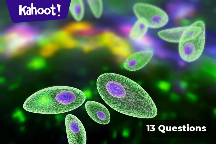 KUWK Three Cool Protists - Kahoot! Quiz