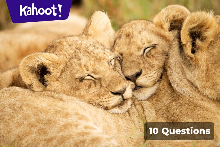 Baby Animals Part I - Kahoot! Quiz