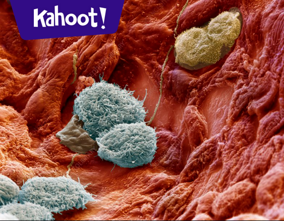 Respiratory comprehensive - Kahoot! Quiz