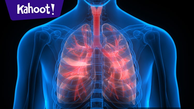 Respiratory System - Kahoot! Quiz