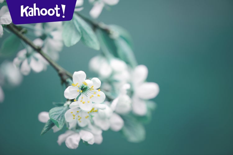 Fruits and flowers - Kahoot! Quiz
