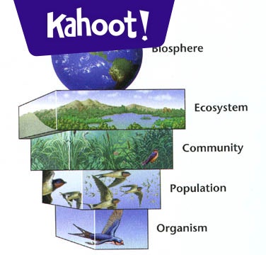 Ecology - Levels of Organization - Kahoot! Quiz