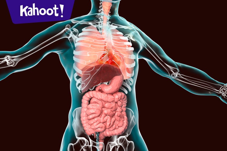 Anatomy and Physiology for MAs Part one - Kahoot! Quiz