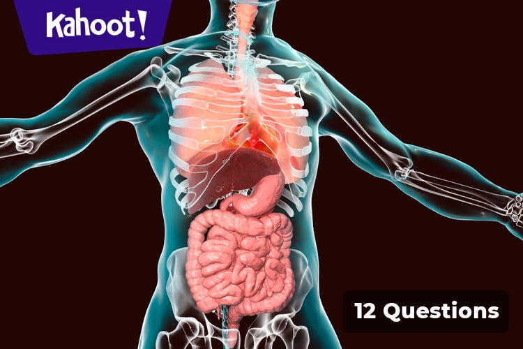 Parts of the body 2: organs - Kahoot! Quiz