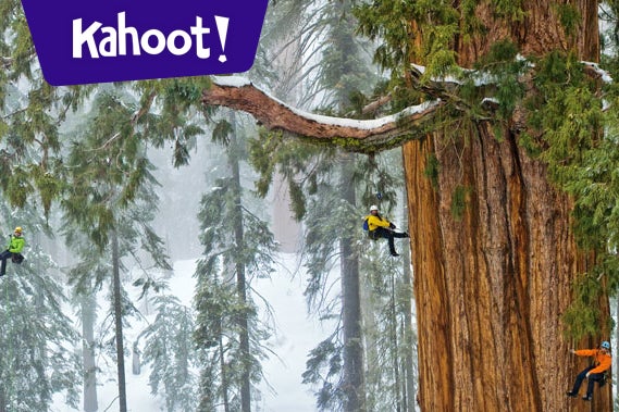 Reading Quiz: Ch. 3-1/3-2 - Kahoot! Quiz