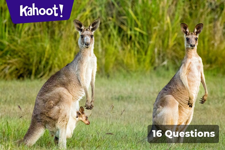 IB ESS Topic 2.1: Species and Populations - Kahoot! Quiz
