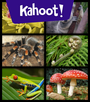 Ecology Review - Kahoot! Quiz