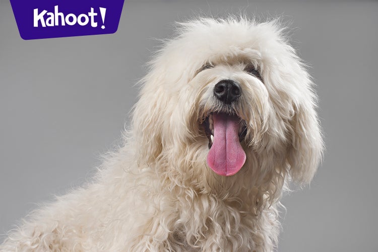 PMA Review: Lesson 4 (DNA & Genetics) - Kahoot! Quiz