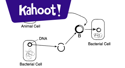 Biotechnology - Kahoot! Quiz