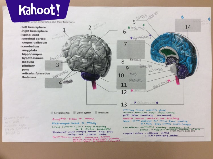 AP Psych Unit 3: Biological Bases of Behavior - Kahoot! Quiz