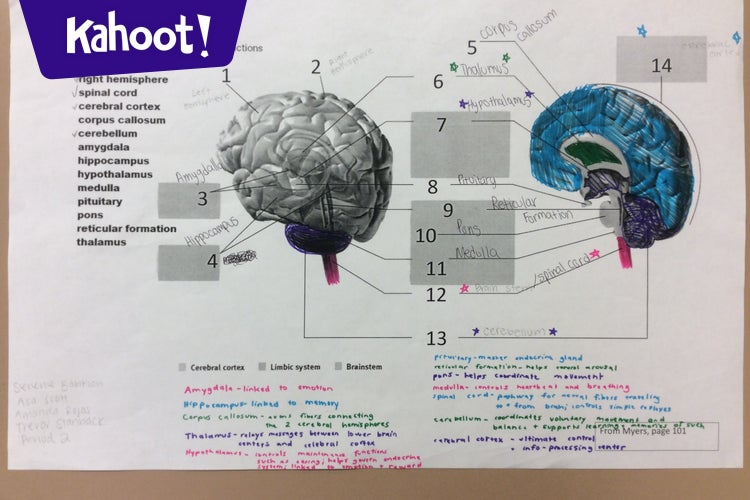 AP Psych Unit 3: Biological Bases of Behavior - Kahoot! Quiz