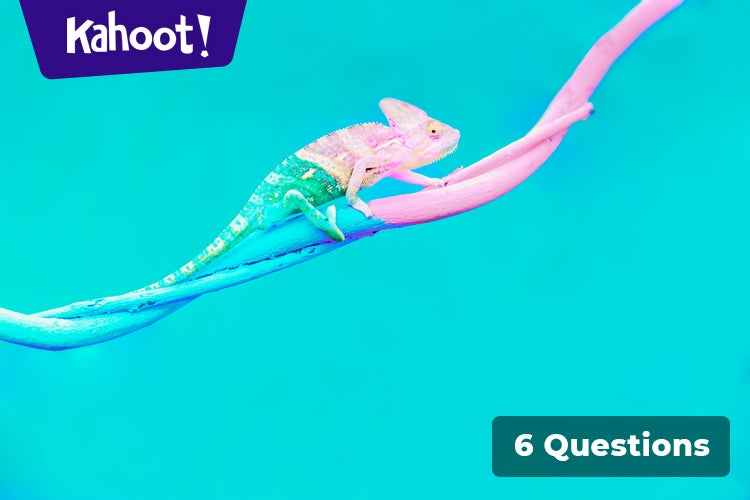 3-7 Transformations of Polynomial Functions - 9-15-21 - Kahoot! Quiz