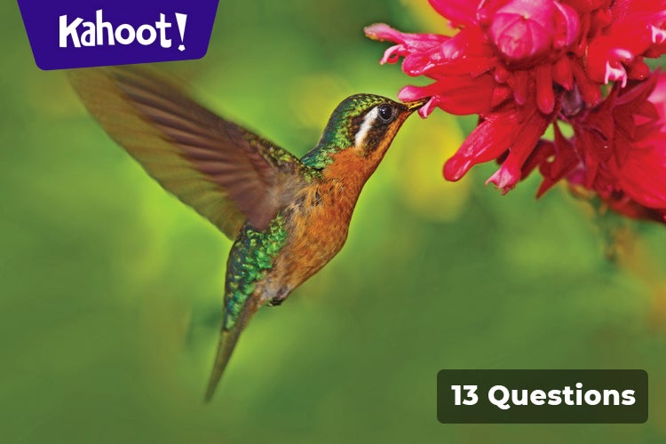 Introduction to Plants - Kahoot! Quiz
